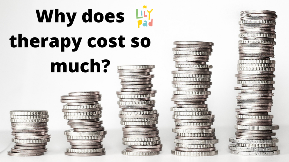 Why does therapy cost so much? And can I get help to fund it? - Lily ...